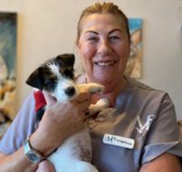 The All Pets Team - Jersey, Channel Islands